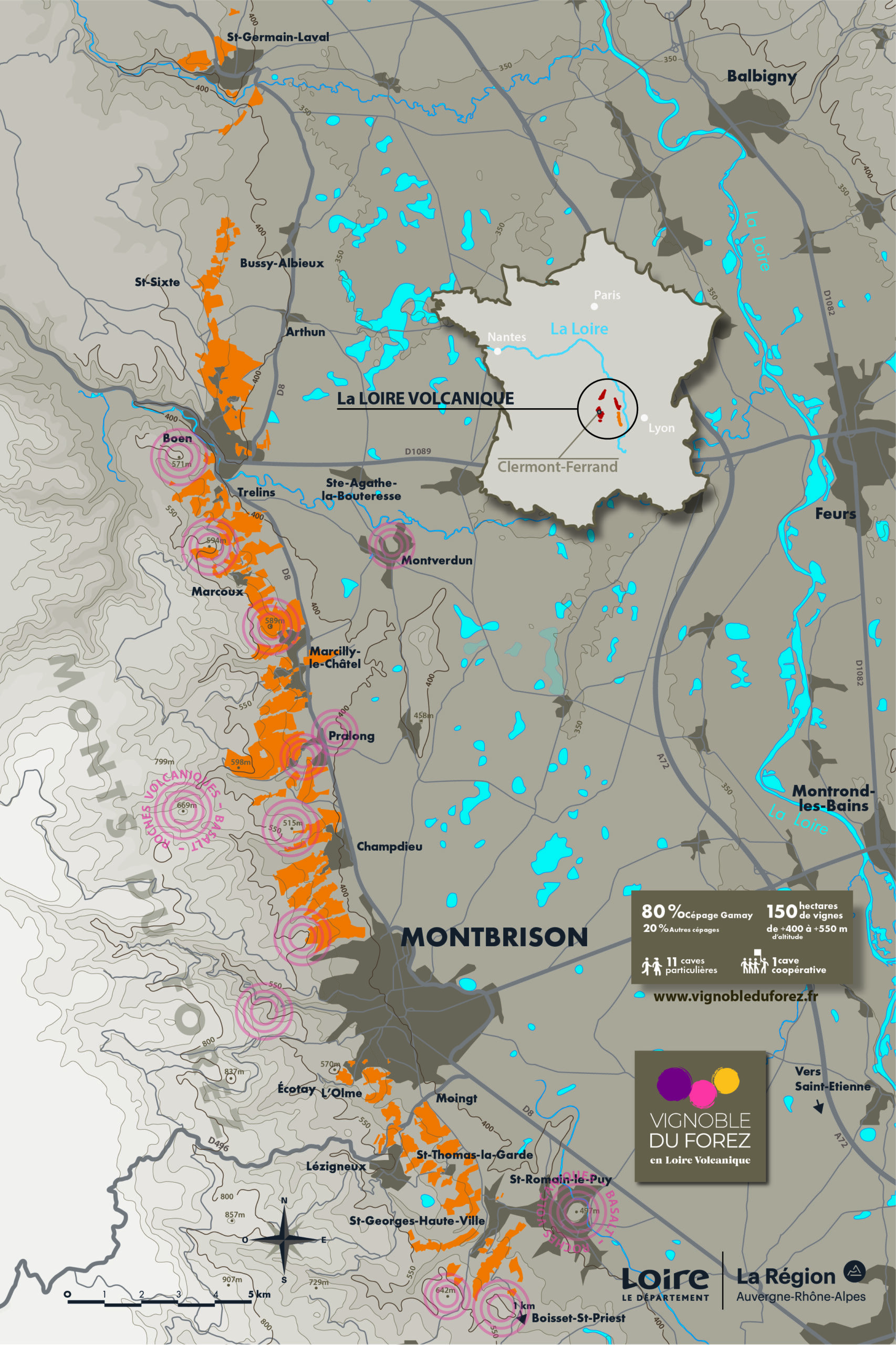 Le vignoble - Vignoble du Forez